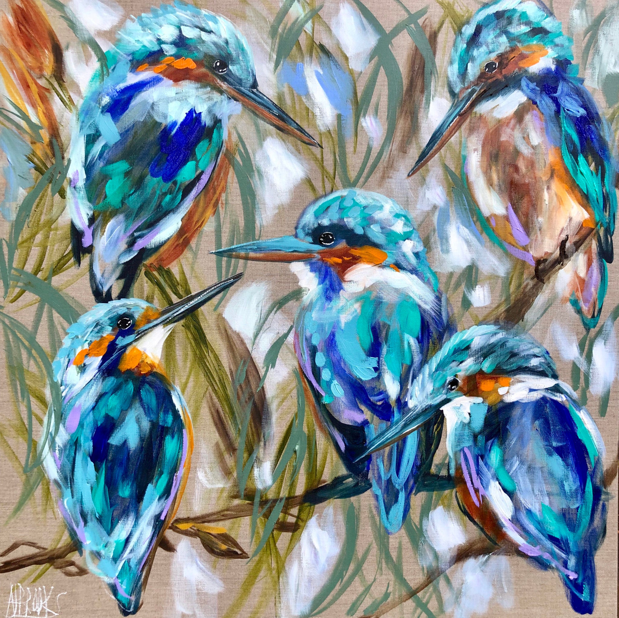 Lilli Rock 'Kingfishers' Single Coaster from Australiana Collection ...